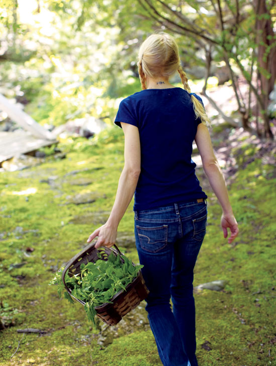 The Health Benefits of Nettle - Mother Earth Living